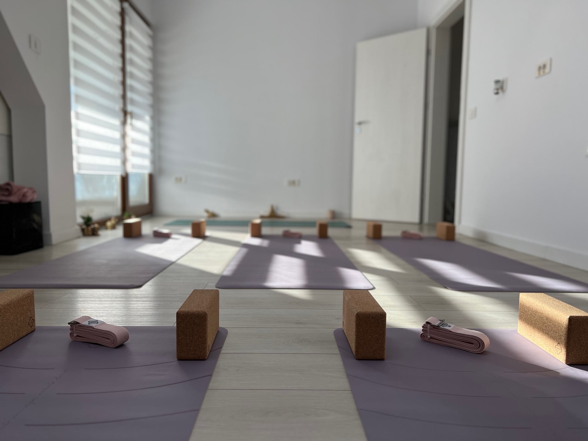 Lotus Yoga Studio – Mișcare. Relaxare. Fericire.